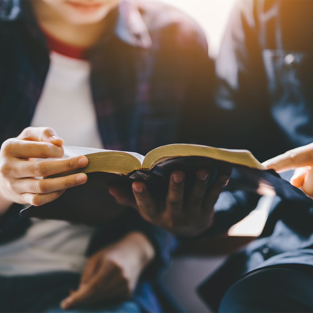 Discipleship - Baptist Authors